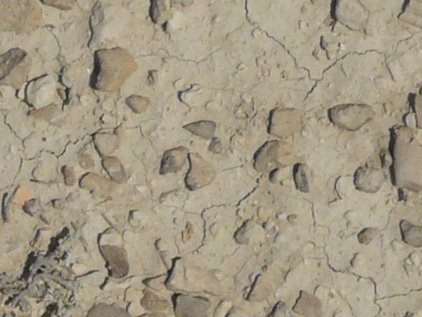dry dirt with rocks 0005 - Texturelib
